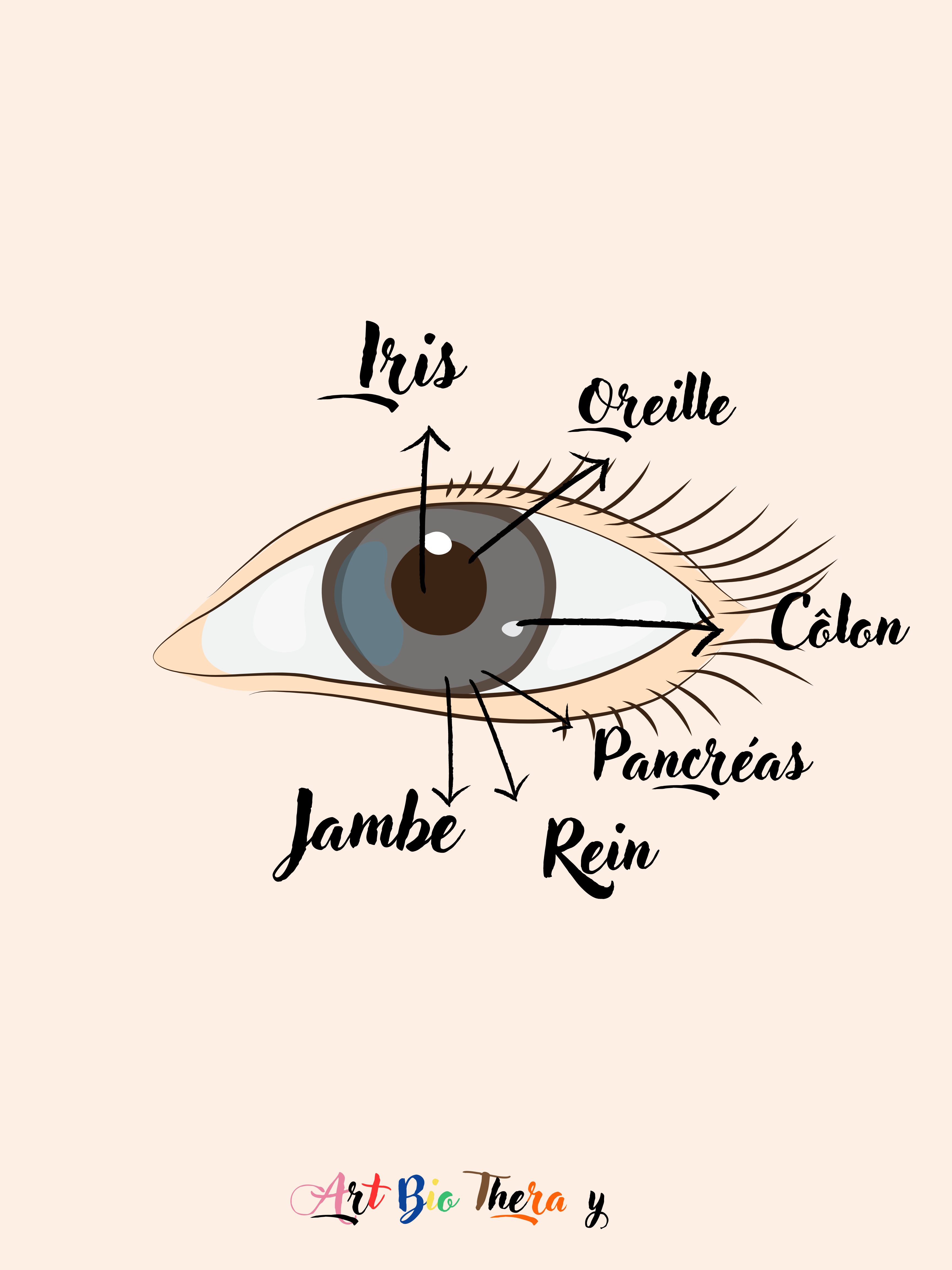 Accueil - Art Bio Therapy